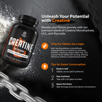 micronized creatine for better absorption
