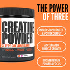 micronized creatine for better absorption