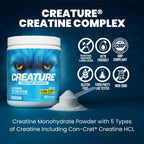 micronized creatine for better absorption