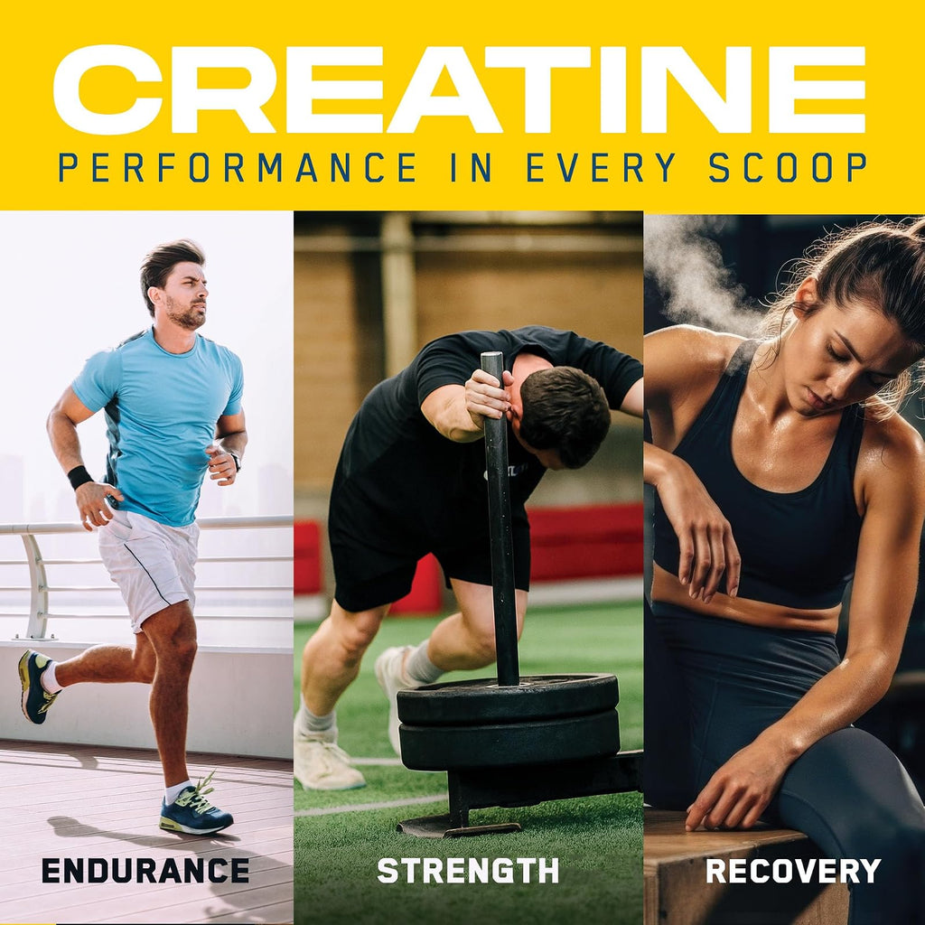 micronized creatine for better absorption