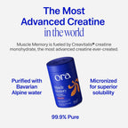 micronized creatine for better absorption