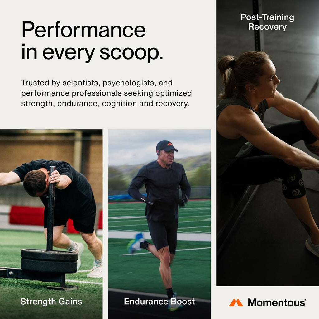 micronized creatine for better absorption