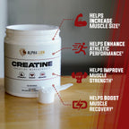 micronized creatine for better absorption