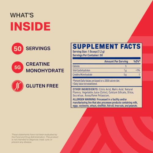 micronized creatine for muscle gain