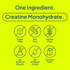 micronized creatine for muscle growth