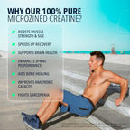 micronized creatine for muscle growth