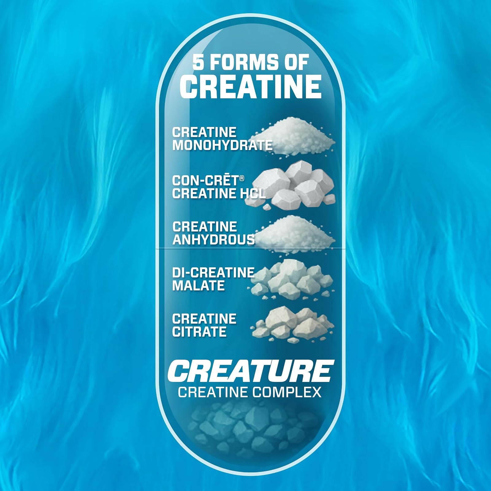 micronized creatine for muscle growth