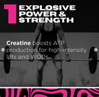 micronized creatine for muscle growth