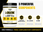 micronized creatine for muscle growth