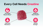 micronized creatine for muscle recovery