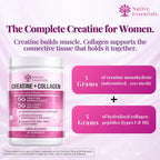 micronized creatine for muscle recovery