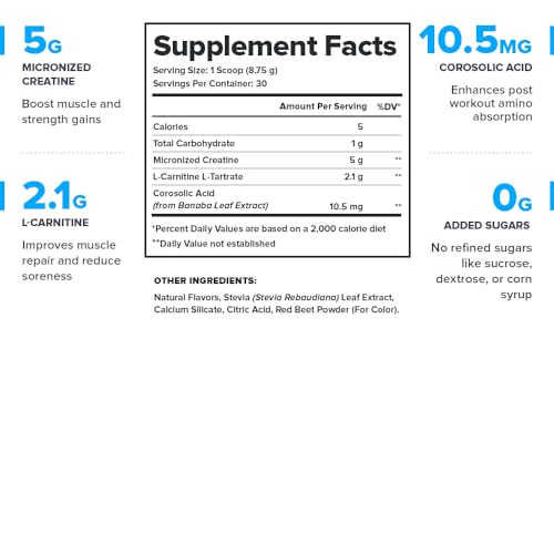 micronized creatine for post workout