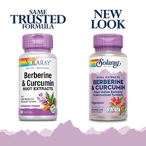 micronized curcumin for better absorption