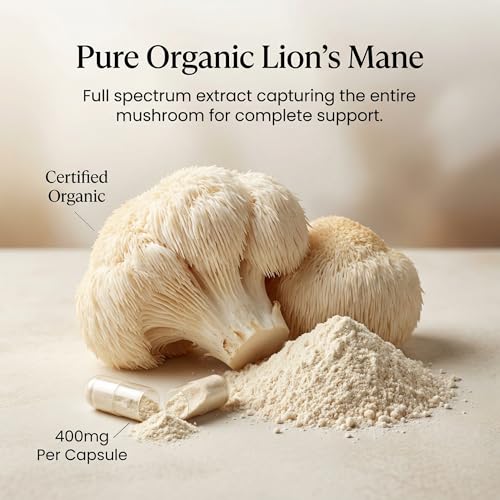 micronized lion's mane for brain support
