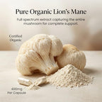 micronized lion's mane for brain support