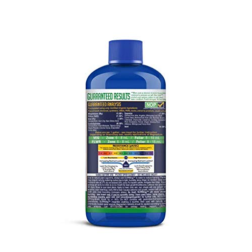 micronized magnesium for better absorption