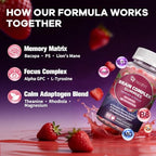 Migcopat brain health gummies 60 count