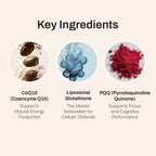 Mikra glutathione for detoxification