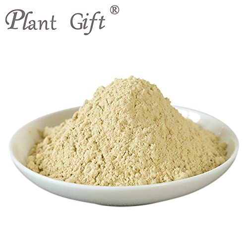 mild umami flavor mushroom supplement