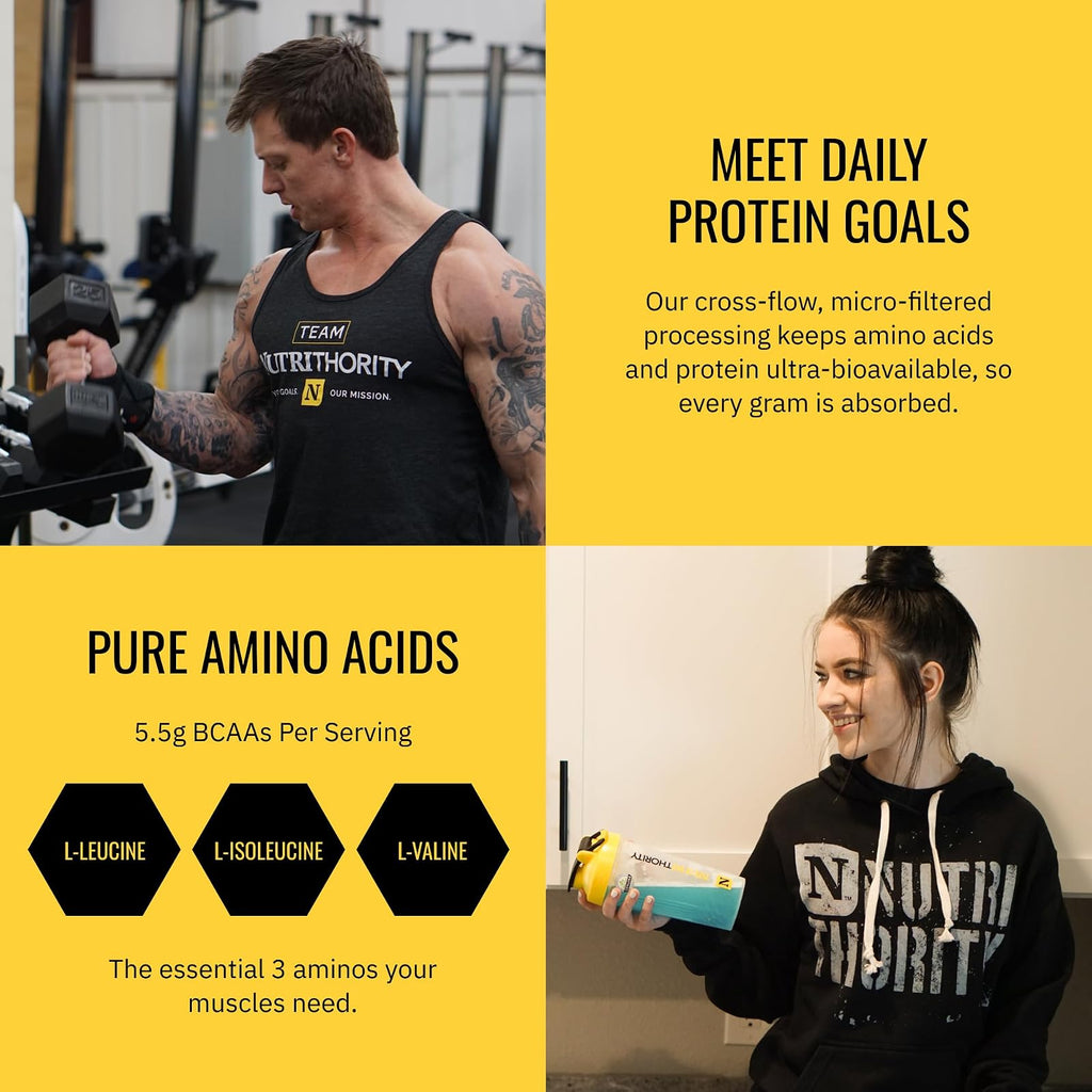 milk chocolate flavour protein supplement