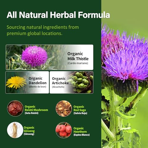 Milk Thistle 500 mg daily dosage
