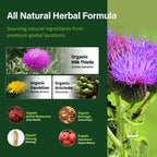 Milk Thistle 500 mg daily dosage