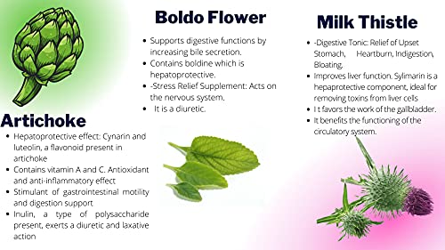 Milk thistle and artichoke benefits
