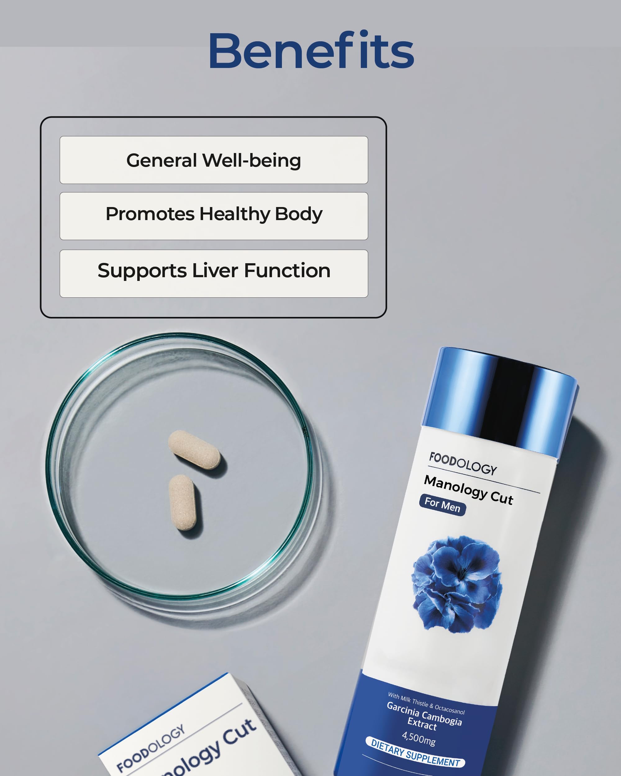 milk thistle and choline benefits