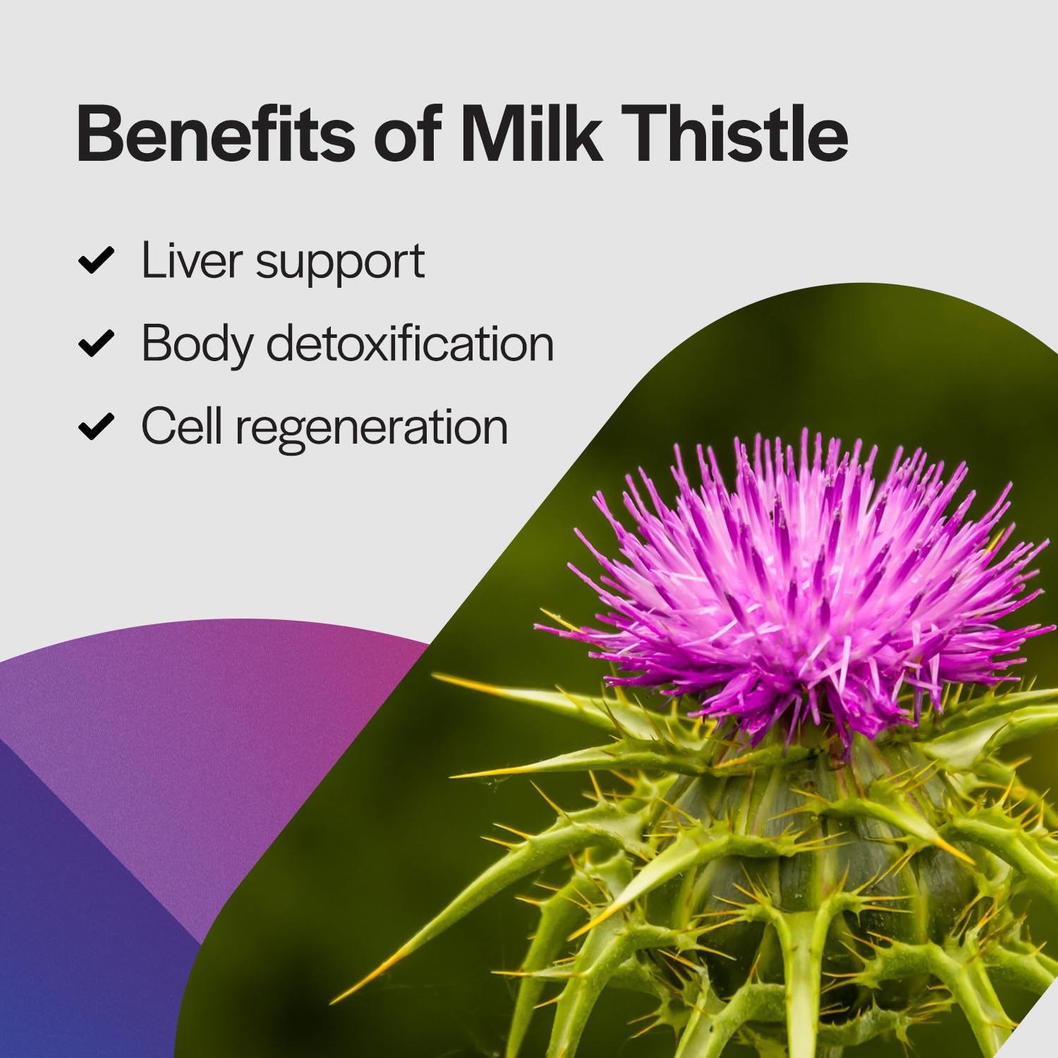 milk thistle and choline benefits