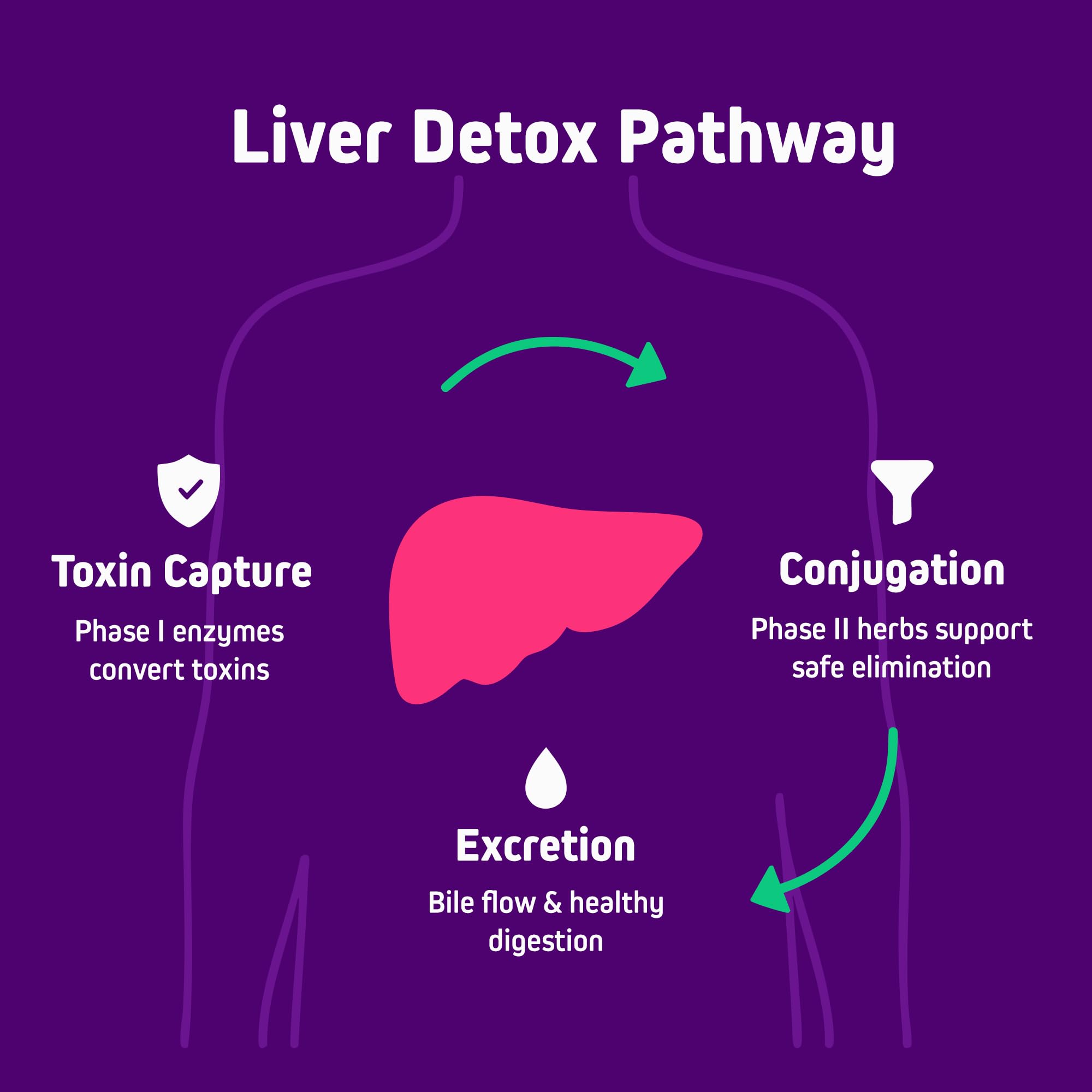 Milk thistle and choline for detox
