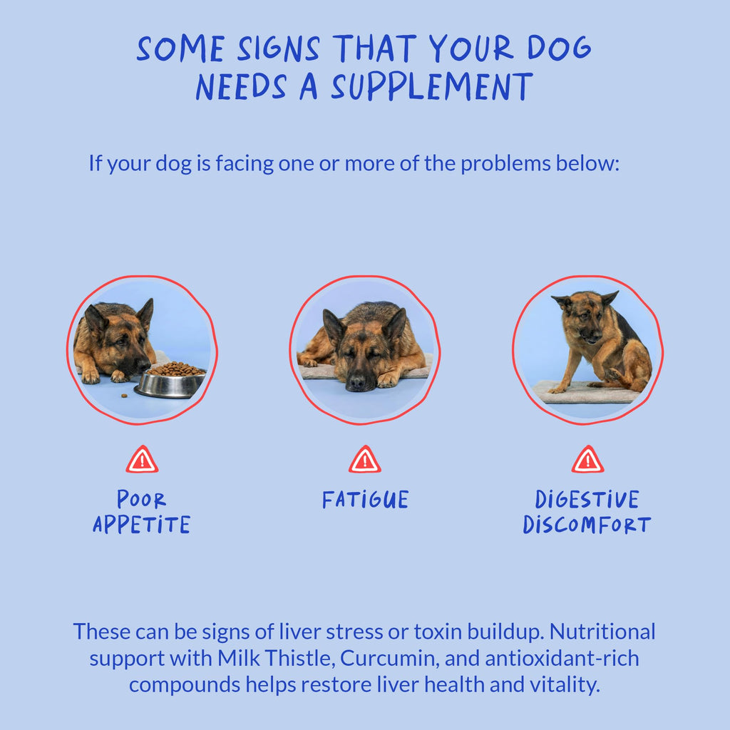 Milk thistle and choline for dogs