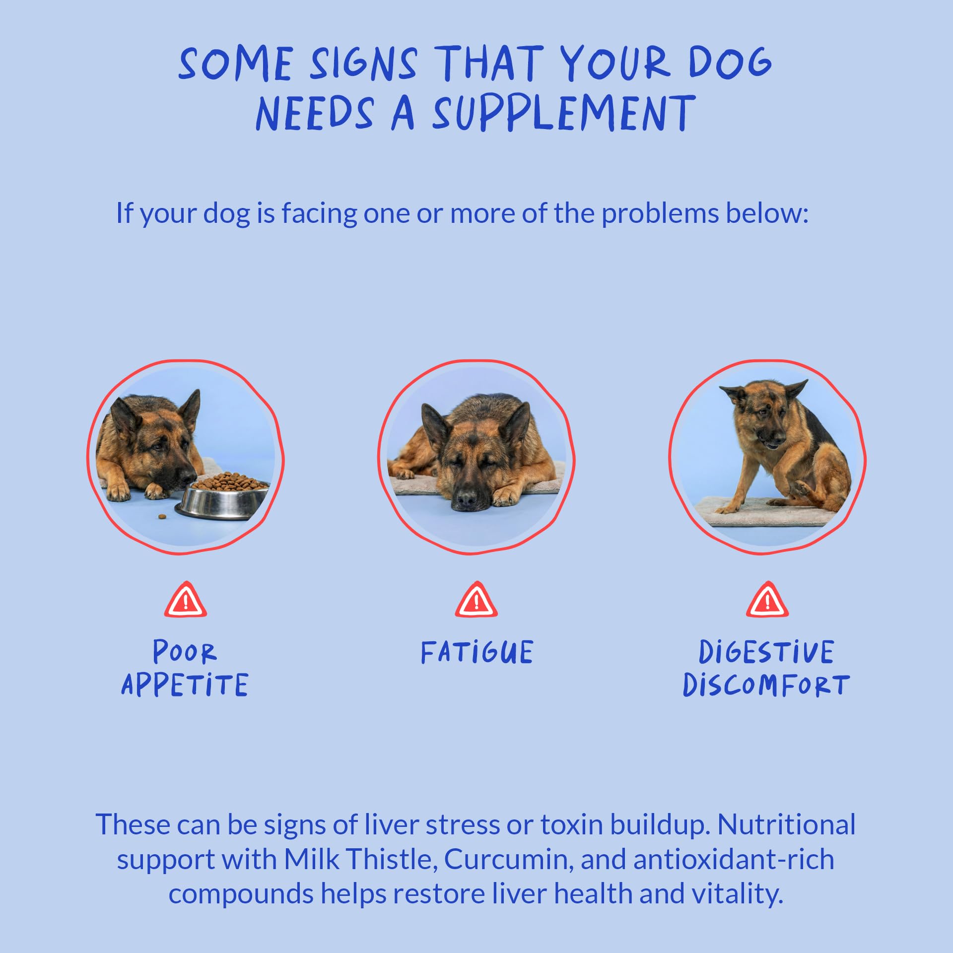 Milk thistle and choline for dogs