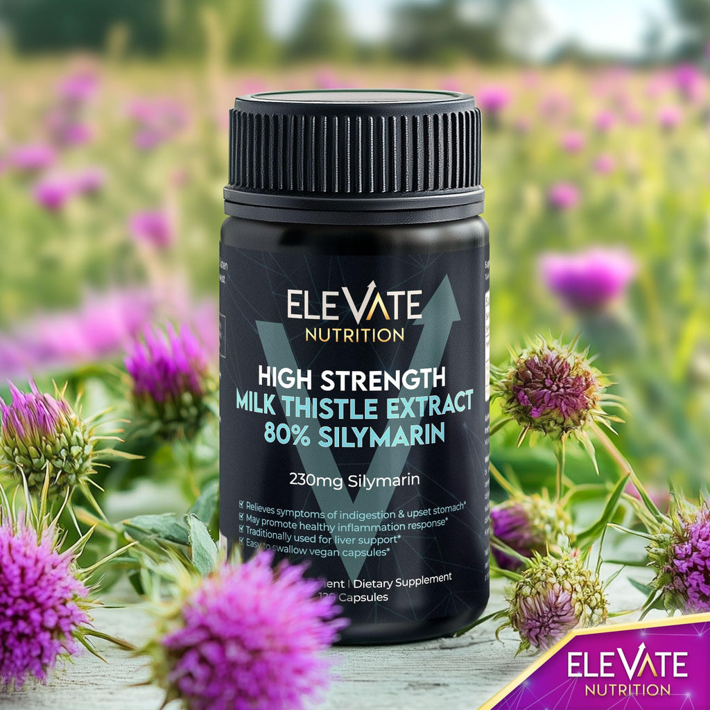 milk thistle and choline for liver care