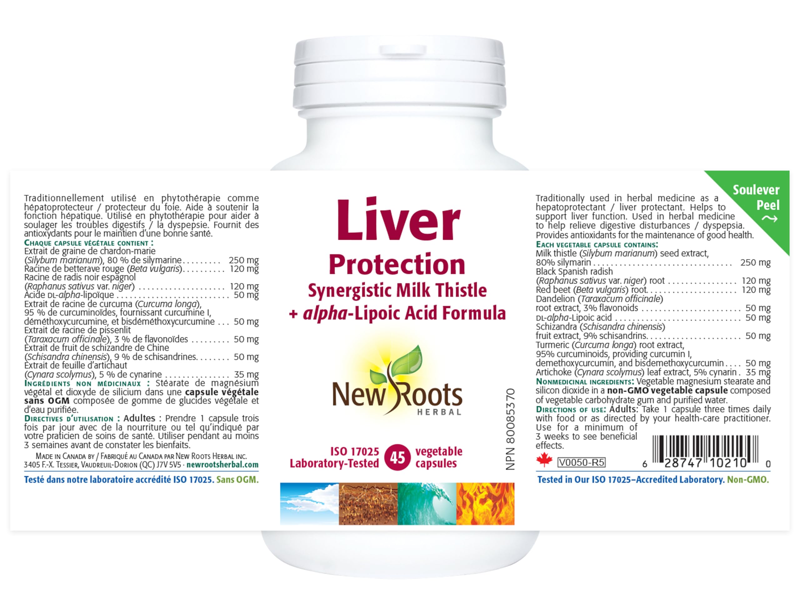 milk thistle and choline for liver health