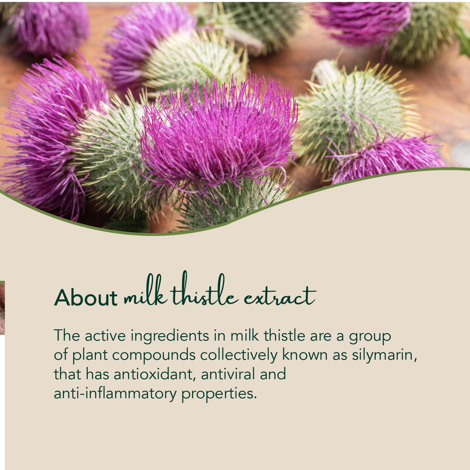 Milk thistle and CoQ10 benefits