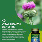 milk thistle and dandelion benefits