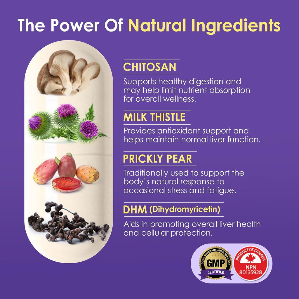 milk thistle antioxidant benefits