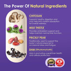 milk thistle antioxidant benefits
