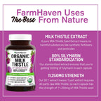 milk thistle antioxidant benefits