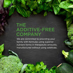 milk thistle antioxidant benefits