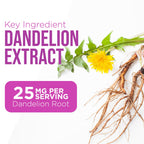milk thistle antioxidant properties explained