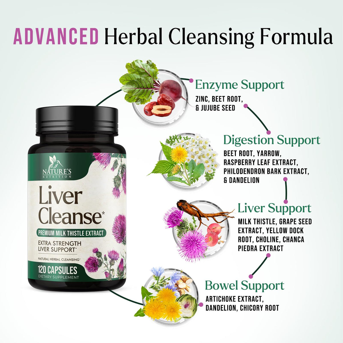 milk thistle antioxidant properties