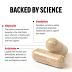 milk thistle antioxidant properties