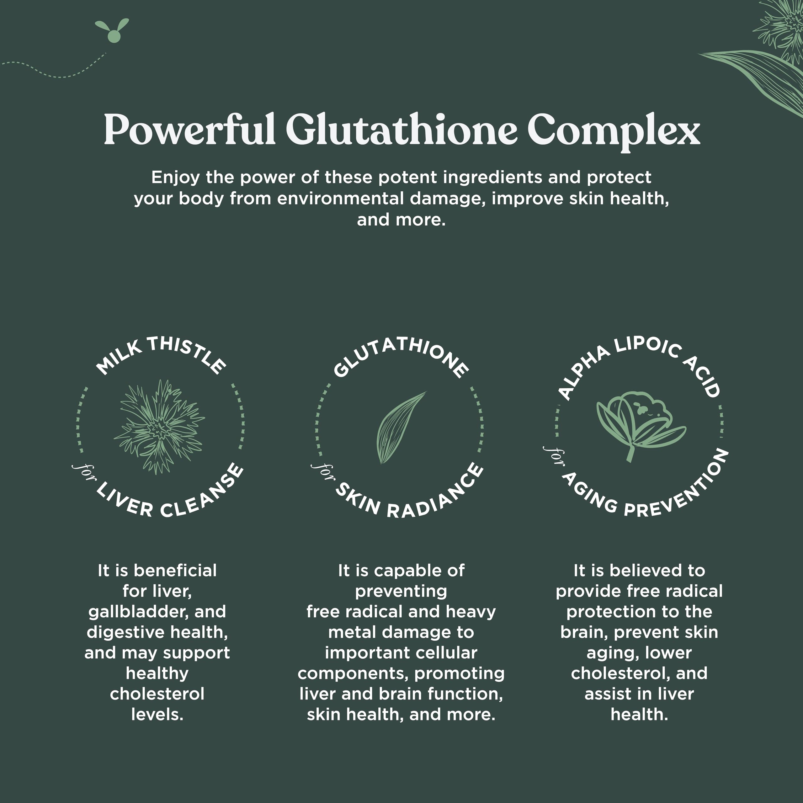 Milk thistle benefits for liver detox