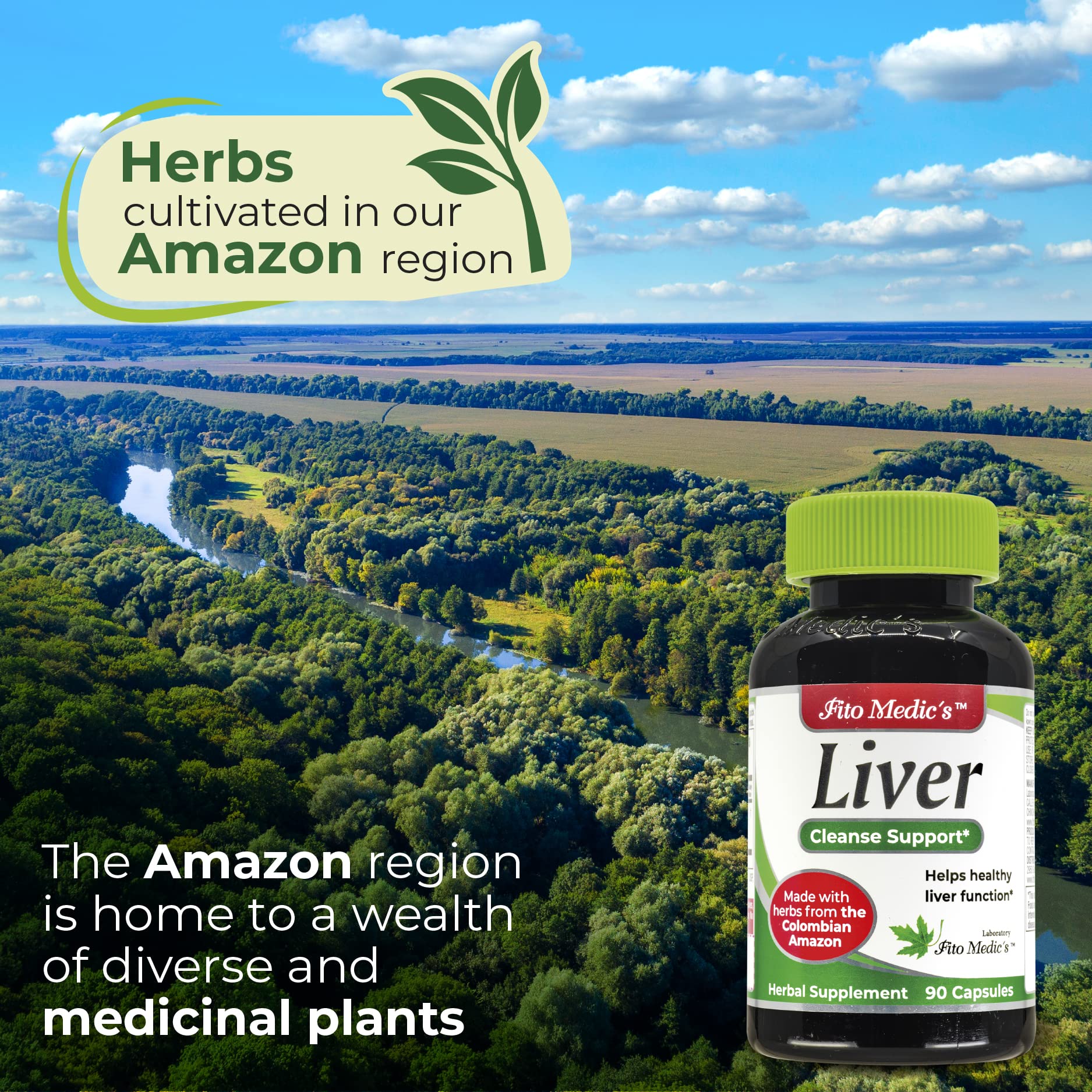 Milk Thistle Benefits for Liver Function