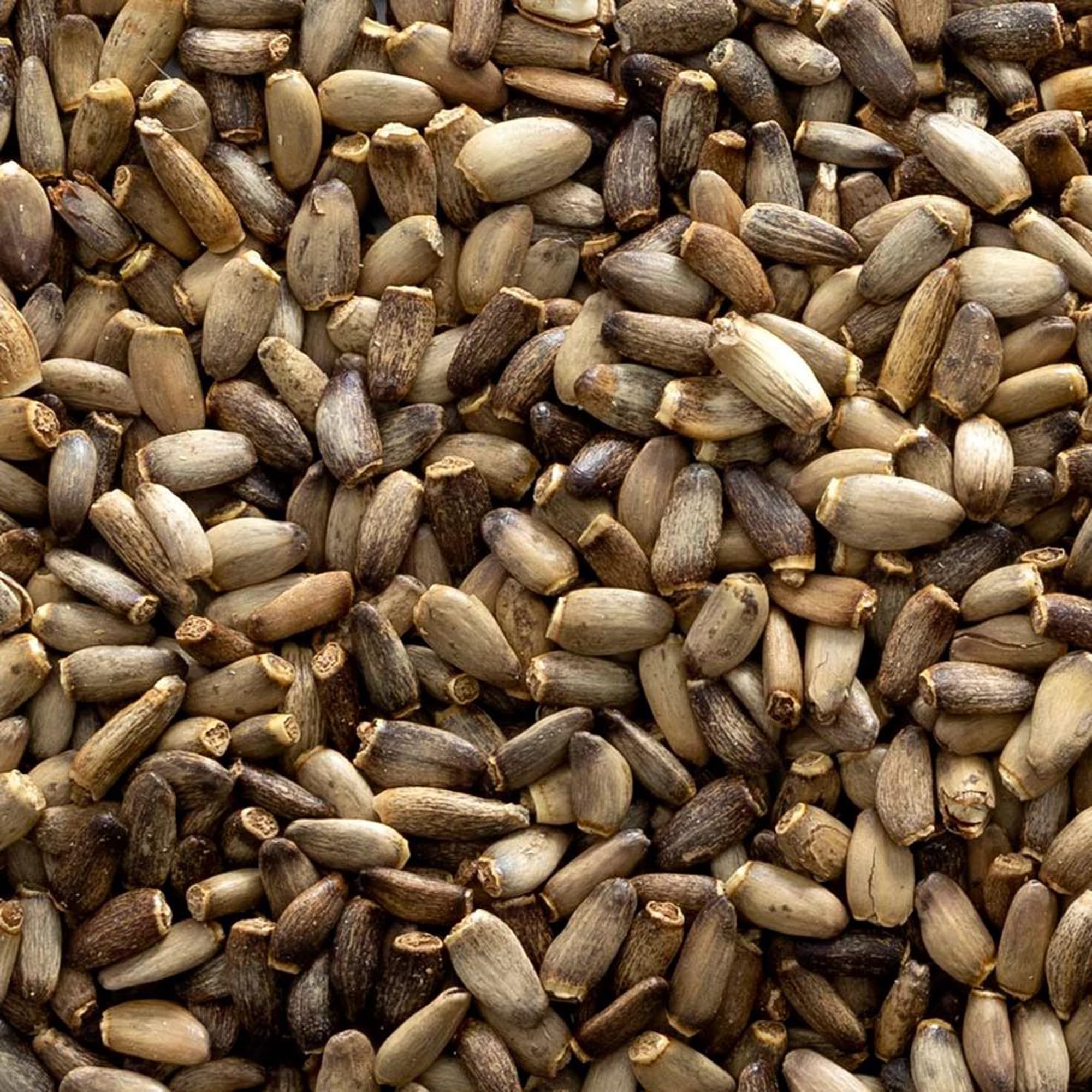 milk thistle benefits for overall wellness