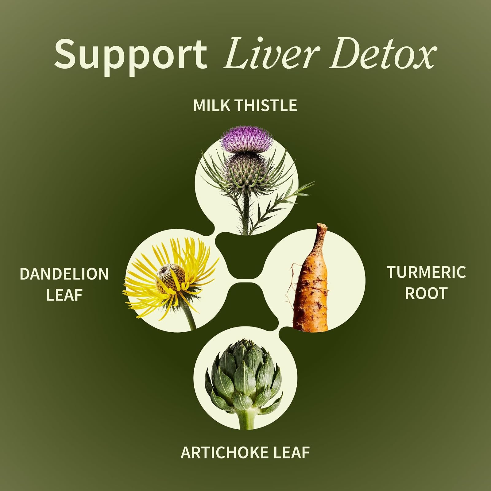Milk Thistle benefits for wellness