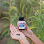 milk thistle blend for nursing mothers