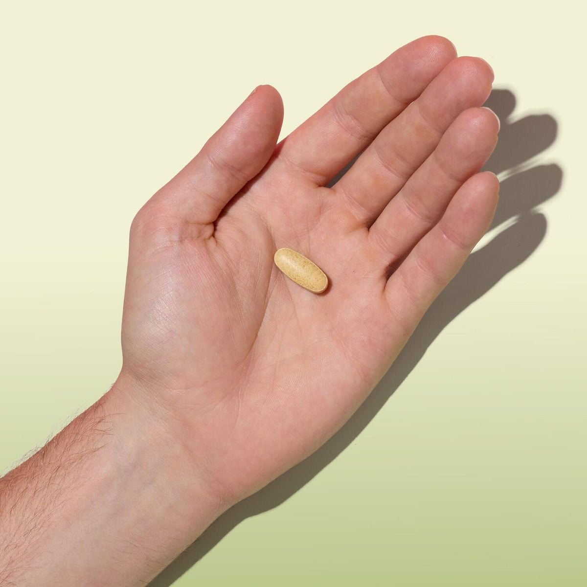 Milk Thistle caplets for overall wellness