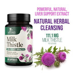 milk thistle capsules for antioxidant protection